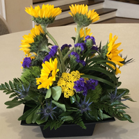 Programs / Events – Lexington Field & Garden Club